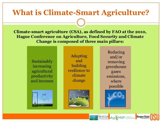 Adopting policies and priorities to encourage climate-smart agricult…
