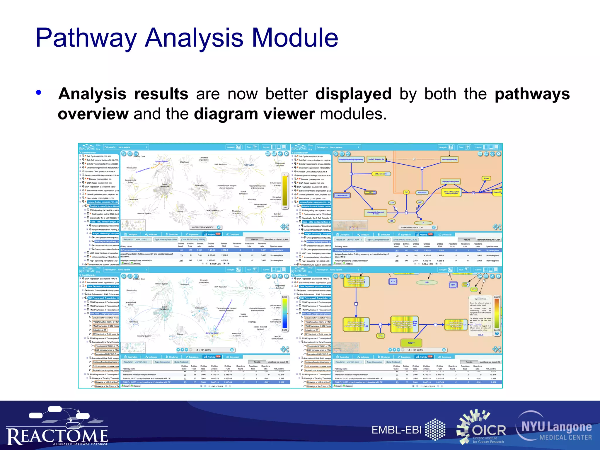 Reactome Pathways Portal | PDF
