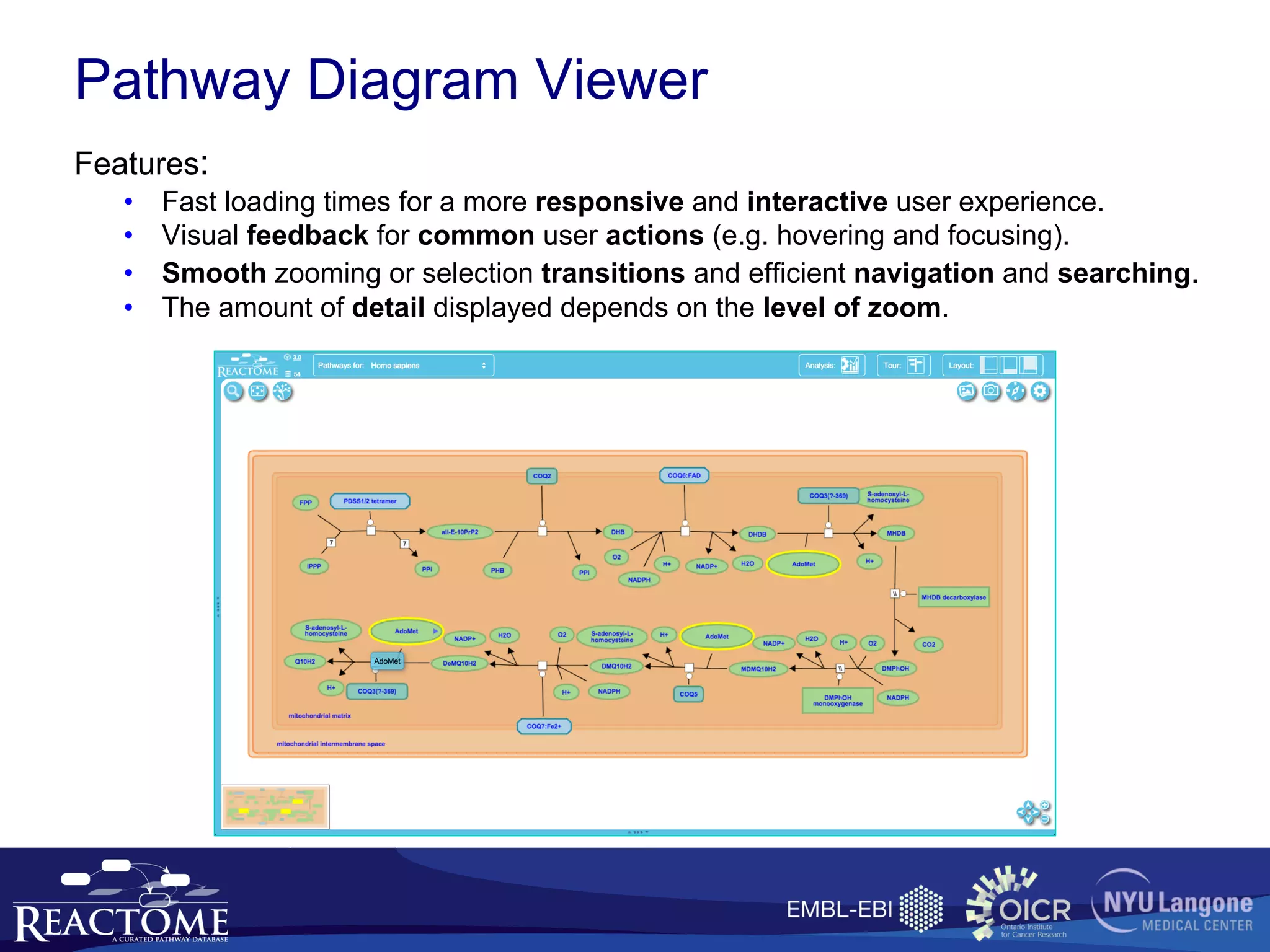 Reactome Pathways Portal | PDF