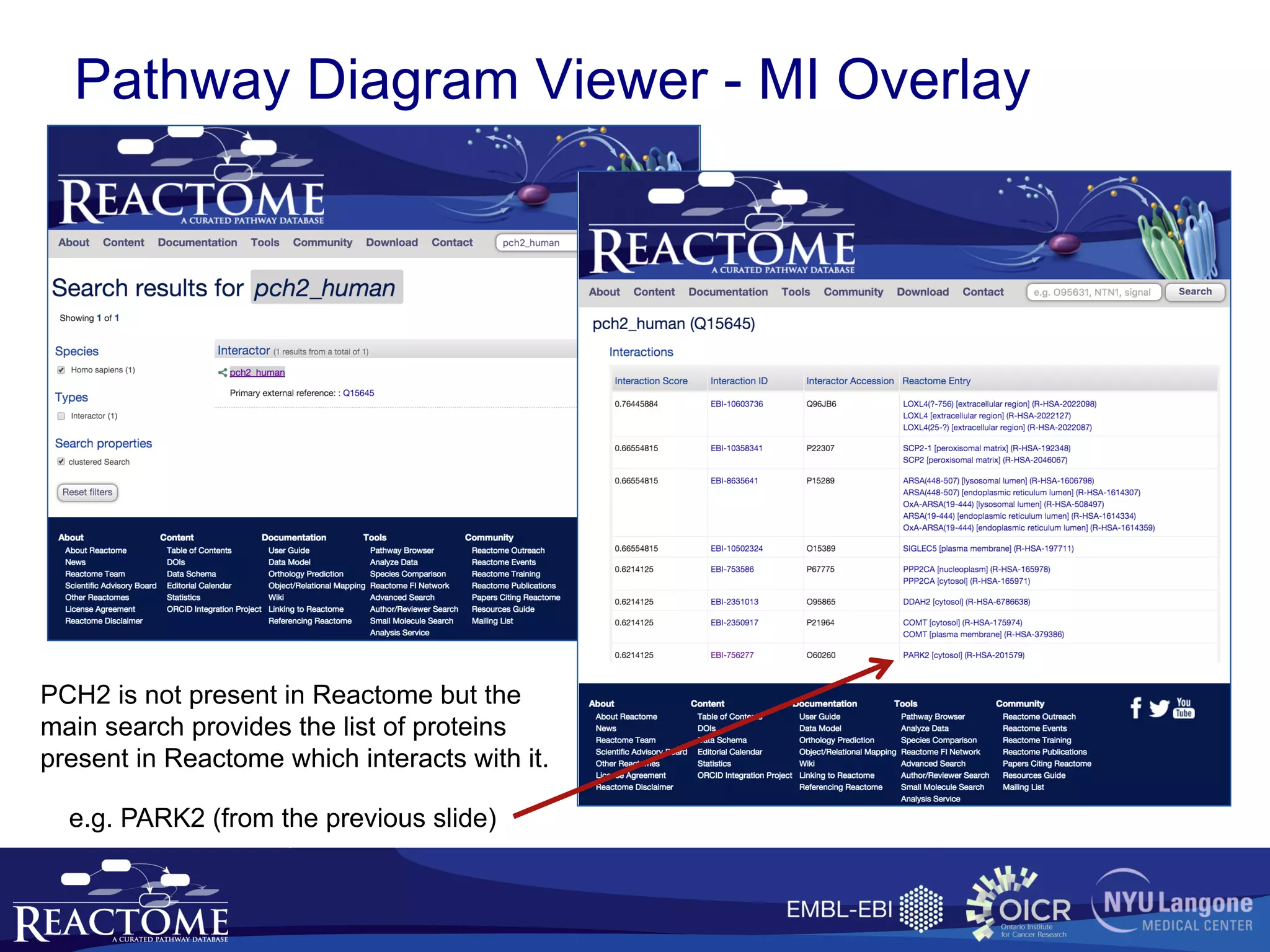Reactome Pathways Portal | PDF | Databases | Computer Software and ...