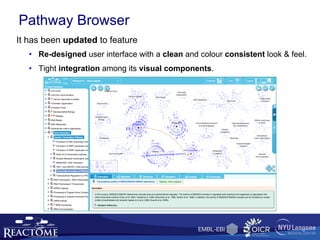 Reactome Pathways Portal | PDF