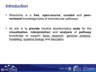Reactome Pathways Portal | PDF