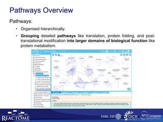 Reactome Pathways Portal | PDF