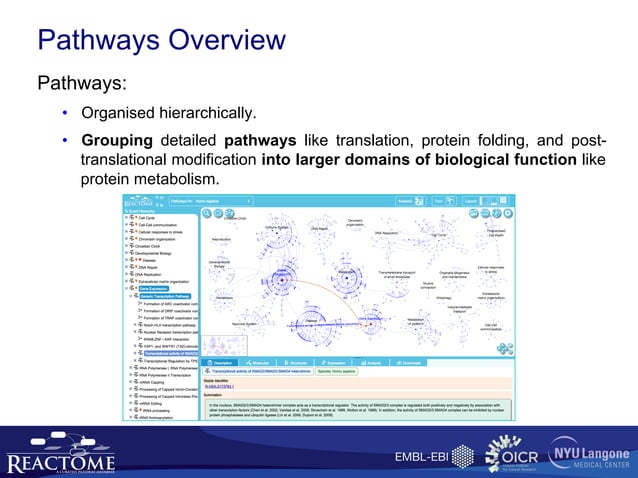 Reactome Pathways Portal | PDF | Databases | Computer Software and ...