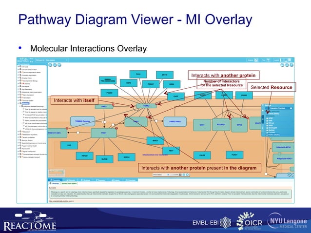 Reactome Pathways Portal | PDF | Databases | Computer Software and Applications