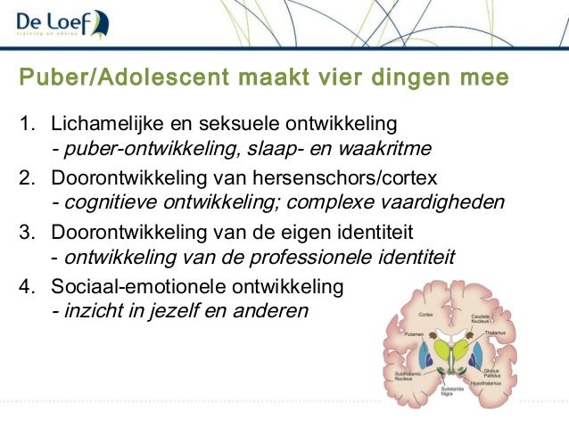 160512 Het Puberbrein