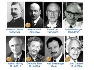 Transplantation 2020 - the big picture | PPT