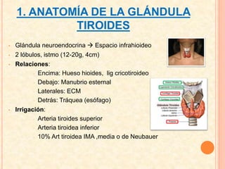 (2016 05-31)hipotiroidismo(ppt) | PPTX