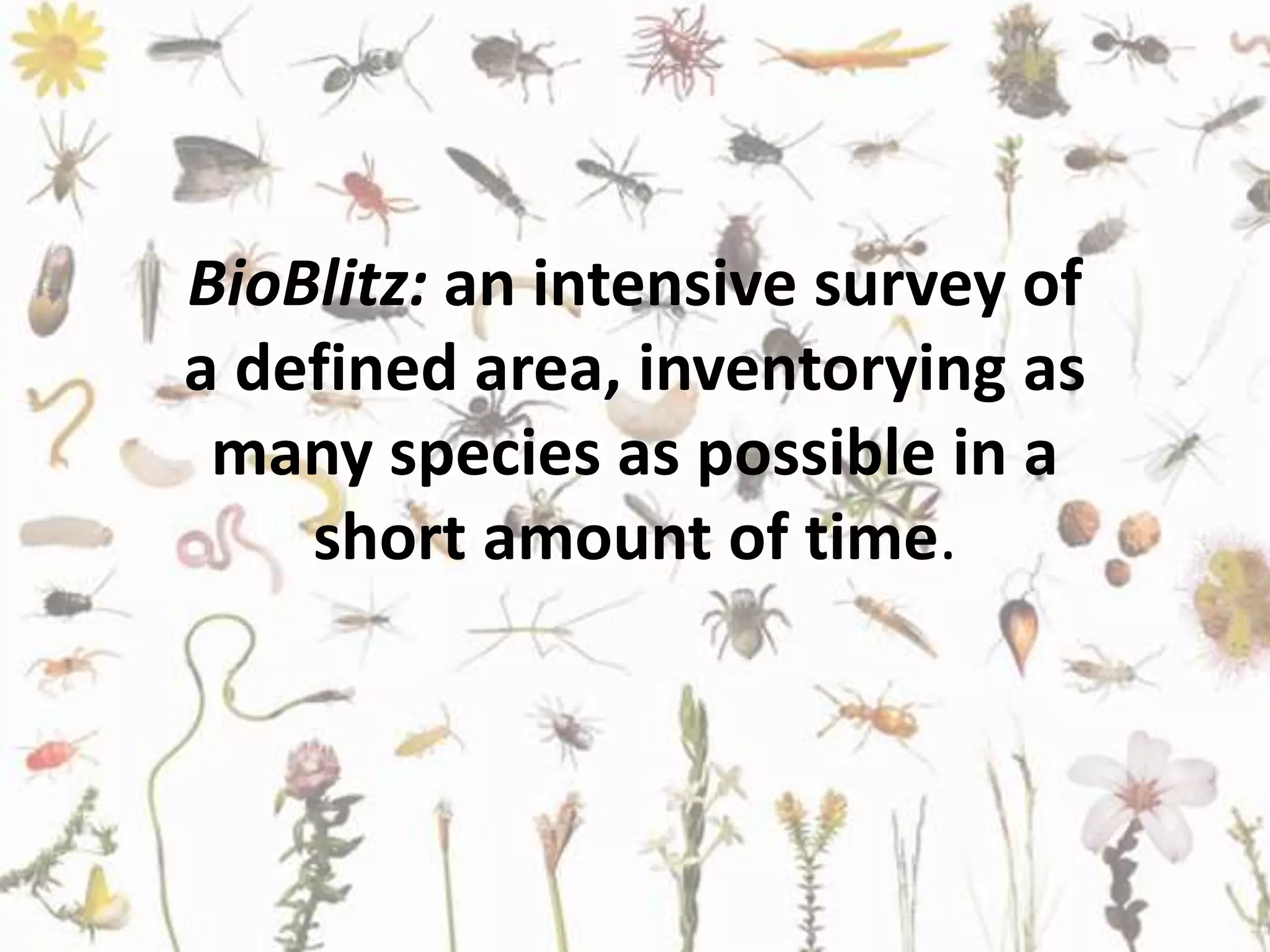BioBlitz: Help record biodiversity using iNaturalist | PPT