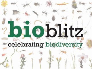 BioBlitz: Help record biodiversity using iNaturalist | PPT