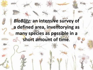 BioBlitz: Help record biodiversity using iNaturalist | PPT