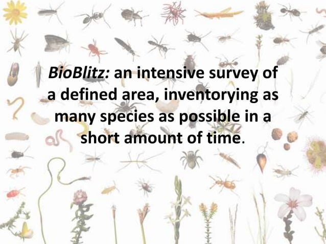 BioBlitz: Help record biodiversity using iNaturalist | PPT