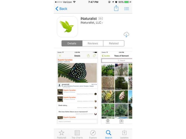 BioBlitz: Help record biodiversity using iNaturalist | PPT
