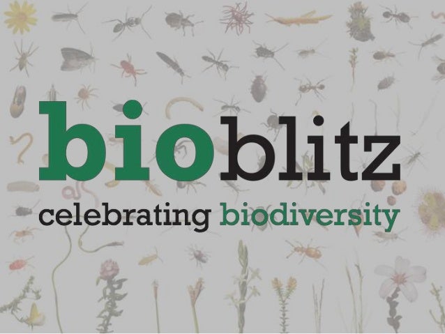 BioBlitz: Help record biodiversity using iNaturalist