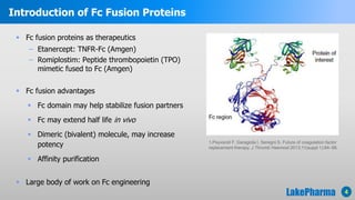 Multi-domain Challenges of Fc Fusion Proteins and Bispecific Antibodies ...