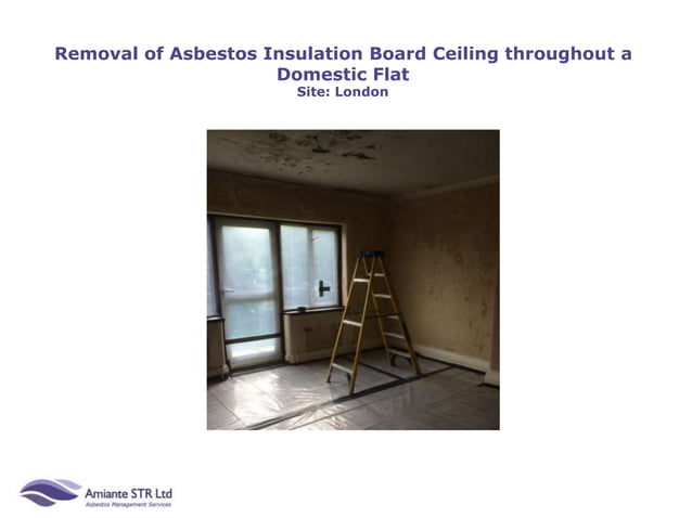 Removal of Asbestos Insulation Board Ceiling throughout a Domestic Flat ...