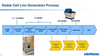 LakePharma’s CHO-GSN Platform for Stable Cell Line Generation | PDF