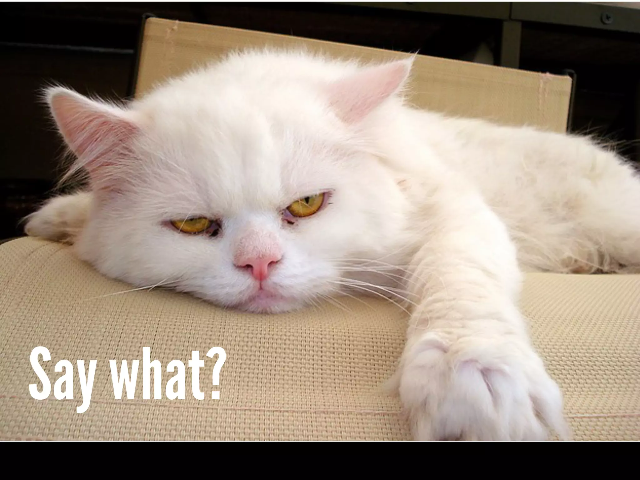 Confessions of a Media Psychologist: Pamela Rutledge | PPT