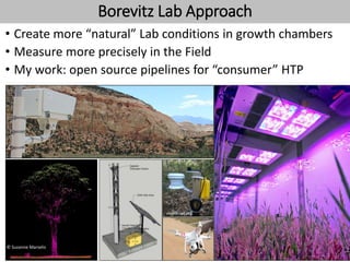 TraitCapture:Open source tools for DIY high throughput Phenomics and NextGen data visualization ...