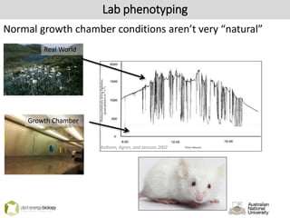 TraitCapture:Open source tools for DIY high throughput Phenomics and NextGen data visualization ...