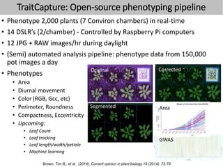 TraitCapture:Open source tools for DIY high throughput Phenomics and NextGen data visualization ...