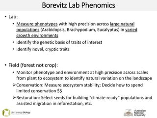 TraitCapture:Open source tools for DIY high throughput Phenomics and NextGen data visualization ...