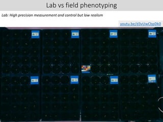TraitCapture:Open source tools for DIY high throughput Phenomics and NextGen data visualization ...