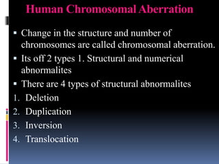 HUMAN CHROMOSOMAL ABERRATIONS AND KARYOTYPE ANALYSIS. | PPTX