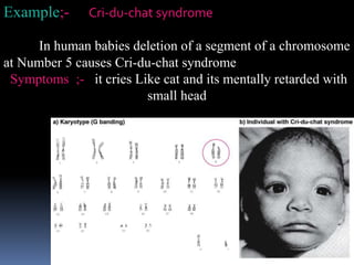 HUMAN CHROMOSOMAL ABERRATIONS AND KARYOTYPE ANALYSIS. | PPTX