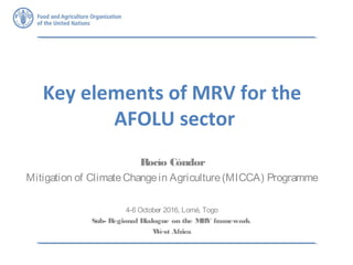 Key elements of MRV for the AFOLU sector | PPT