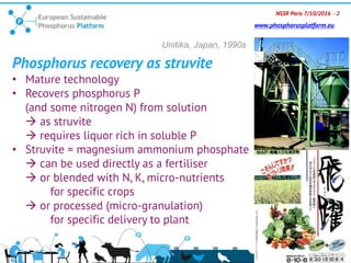 Status of struvite production and regulation in Europe - North Sea ...