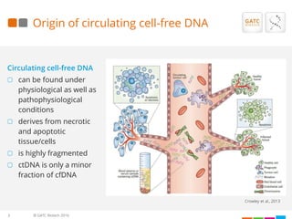 The Potential Of Liquid Biopsies In Cancer Research Pptx