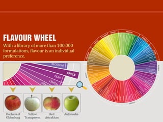 Corporate Presentation - Sluys International NV (FLAVOUR) | PDF