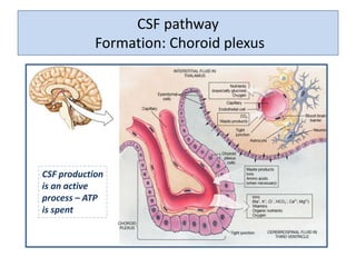 2016.03.16 csf pathway abnormalities | PPTX | Brain and Nervous System ...