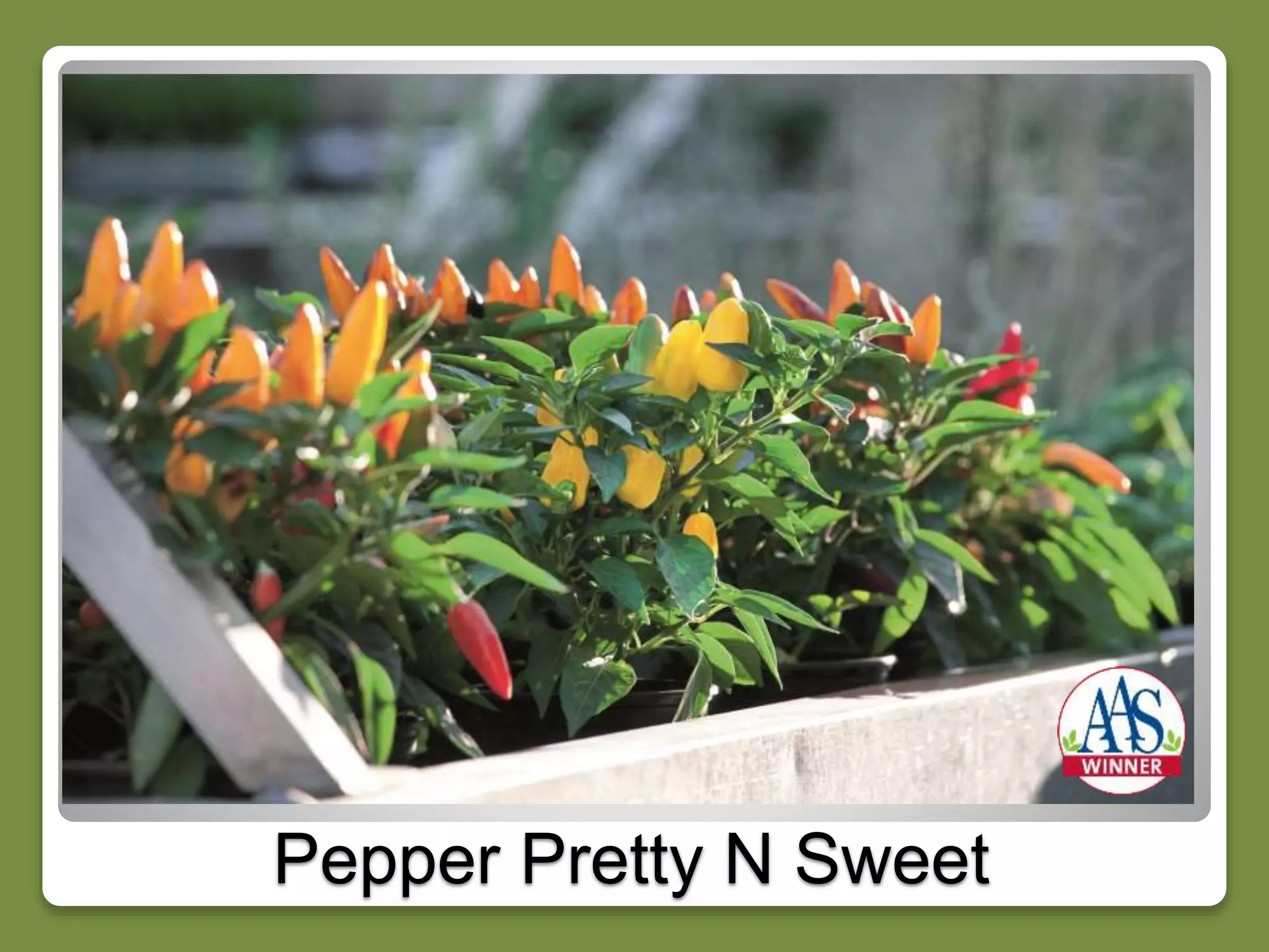 New trends in vegetables and edibles | PPTX
