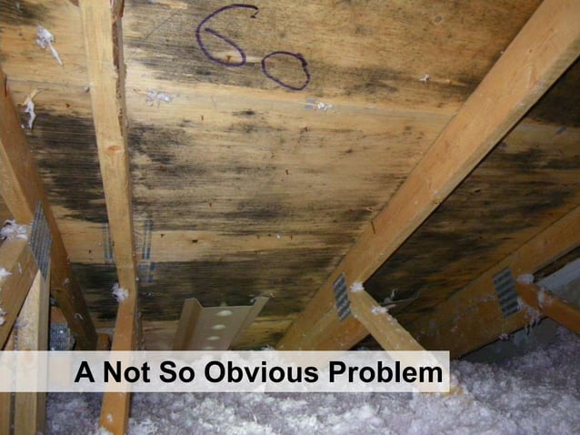Attics: Problems and Solutions | PPT