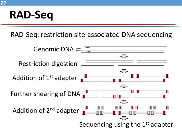 2016. daisuke tsugama. next generation sequencing (ngs) for plant res…