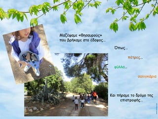 Δάσος Συγγρού - | PPT