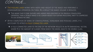 Convolutional neural network | PPTX