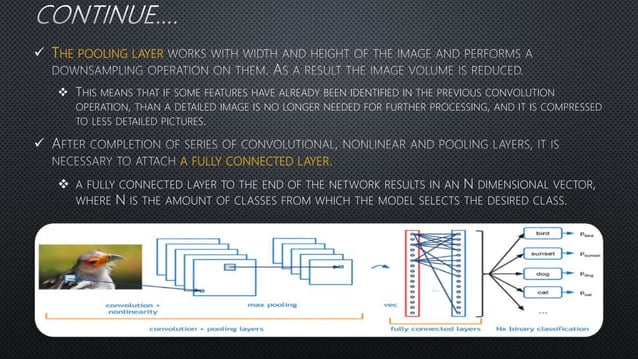 Convolutional neural network | PPTX