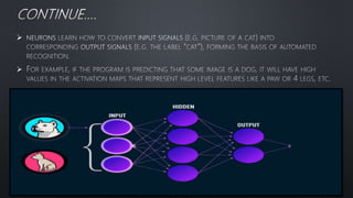 Convolutional neural network | PPTX