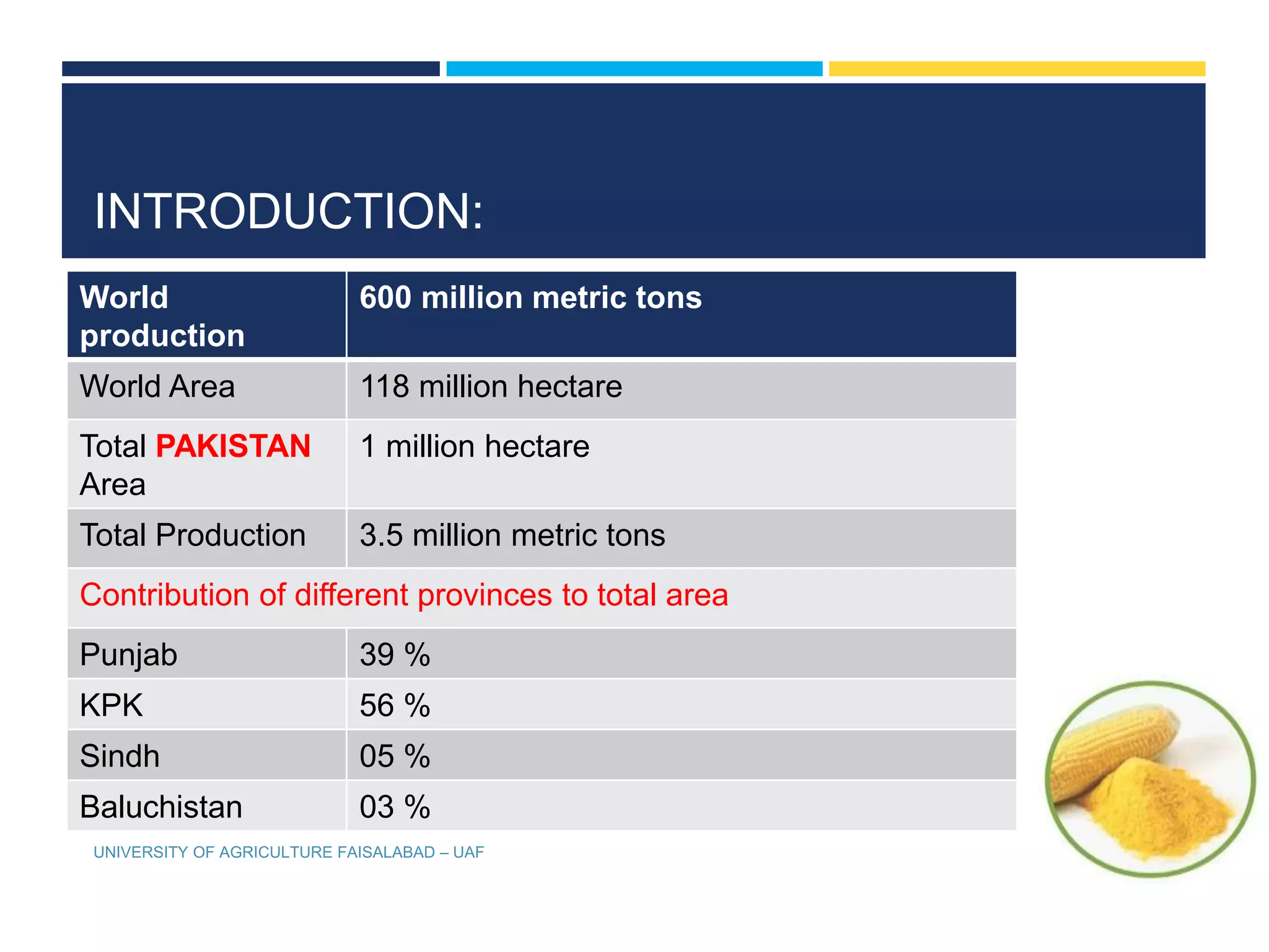IMPORTANCE OF MAIZE IN PAKISTAN | PPTX