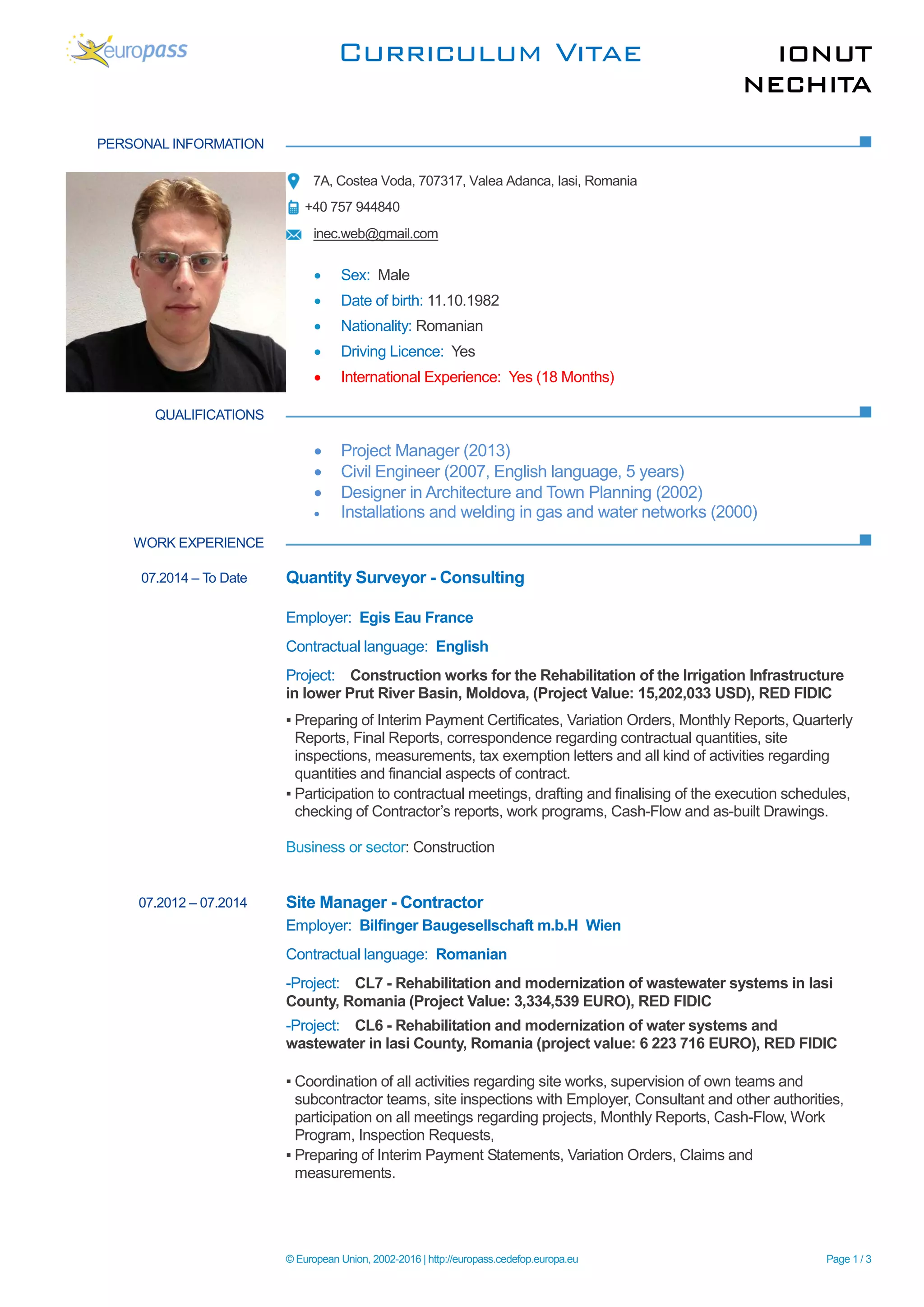 CV Ionut Nechita | PDF