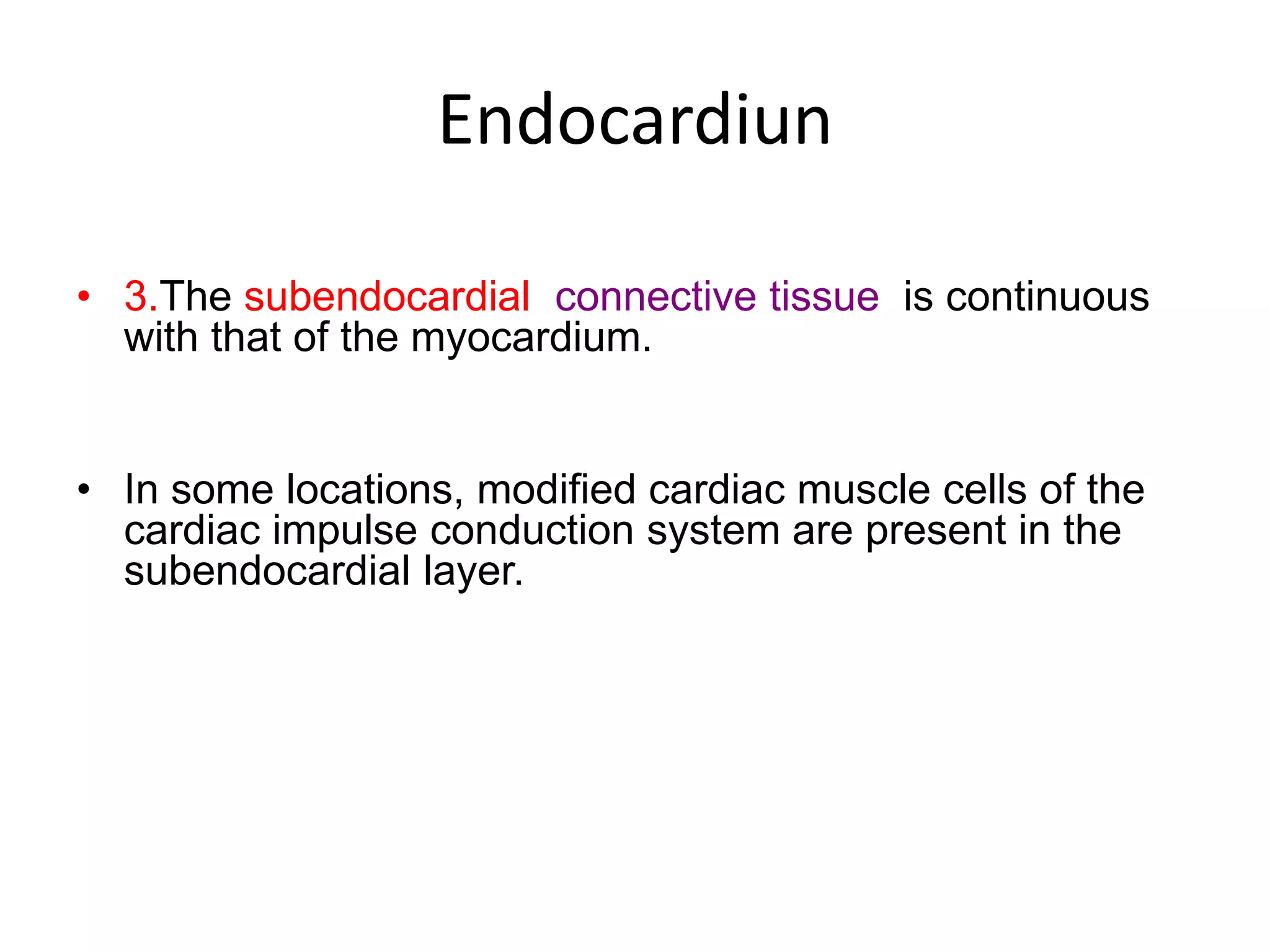 histology of cardiovascular system | PDF