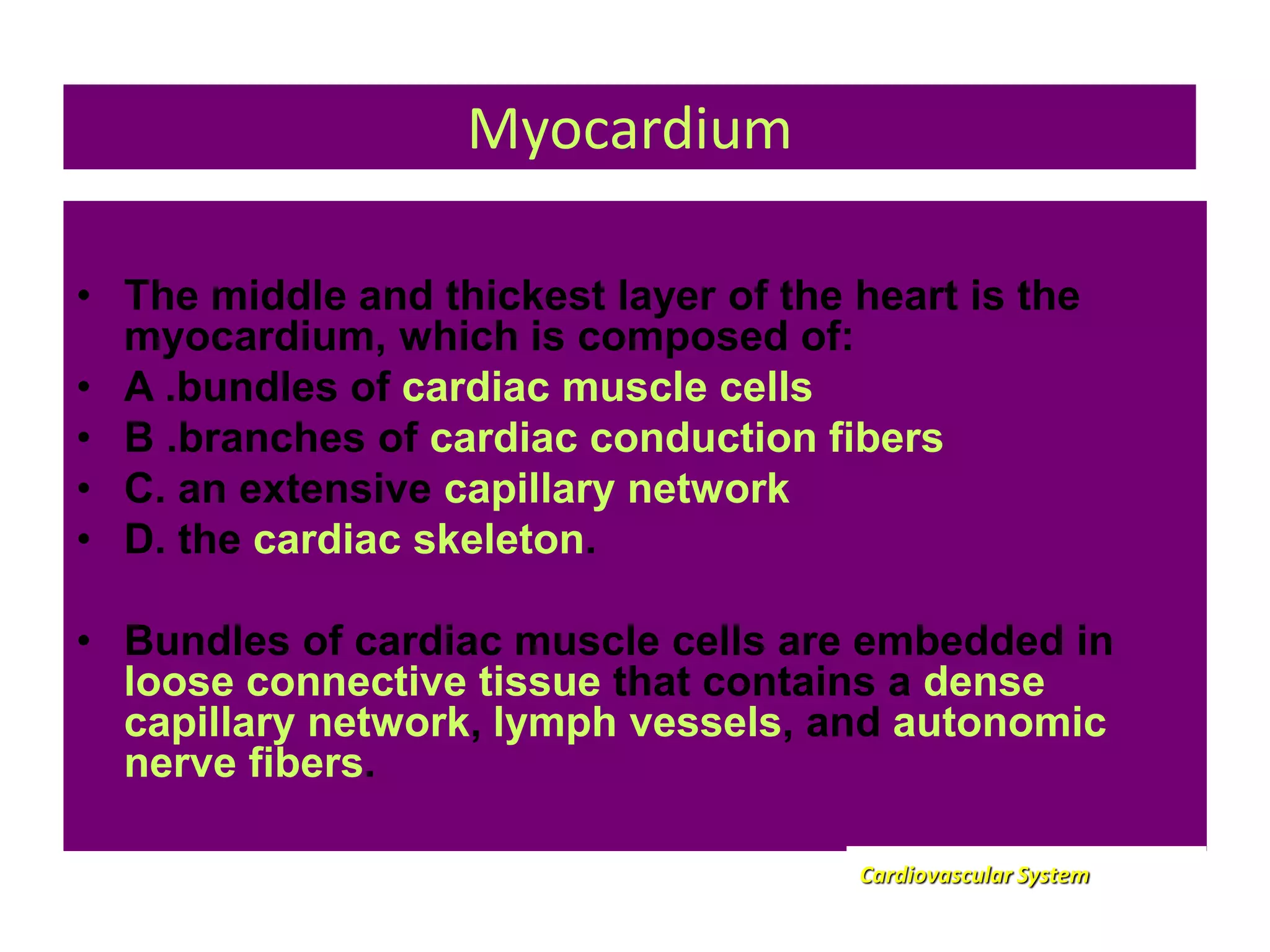 histology of cardiovascular system | PDF