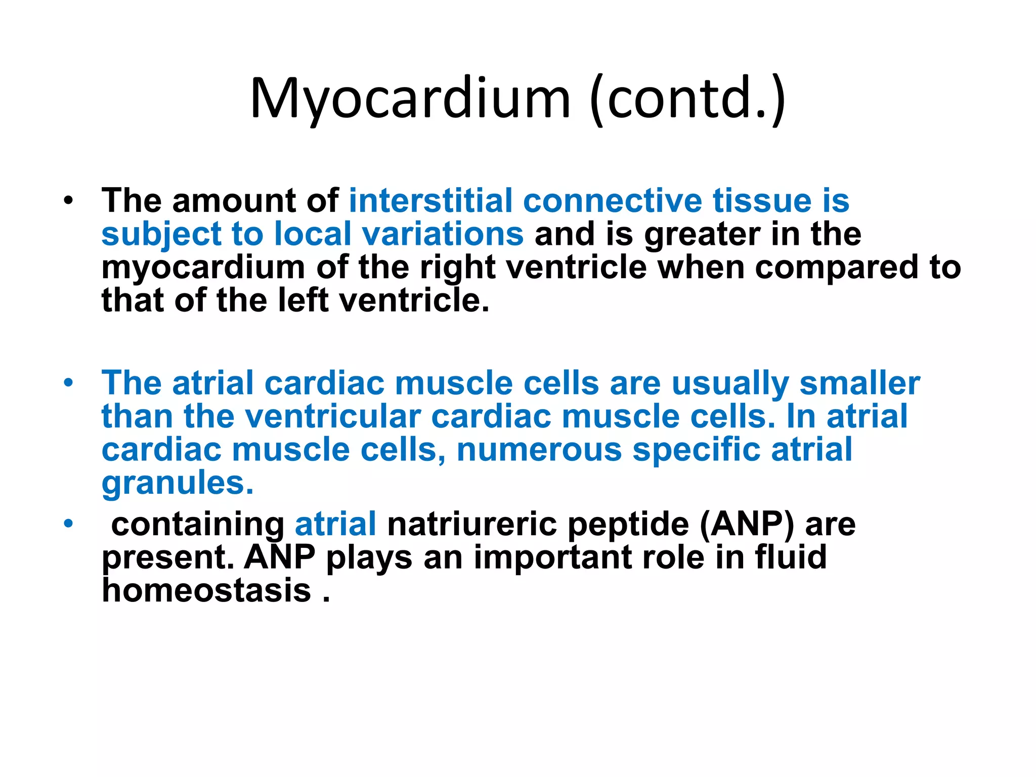 histology of cardiovascular system | PDF