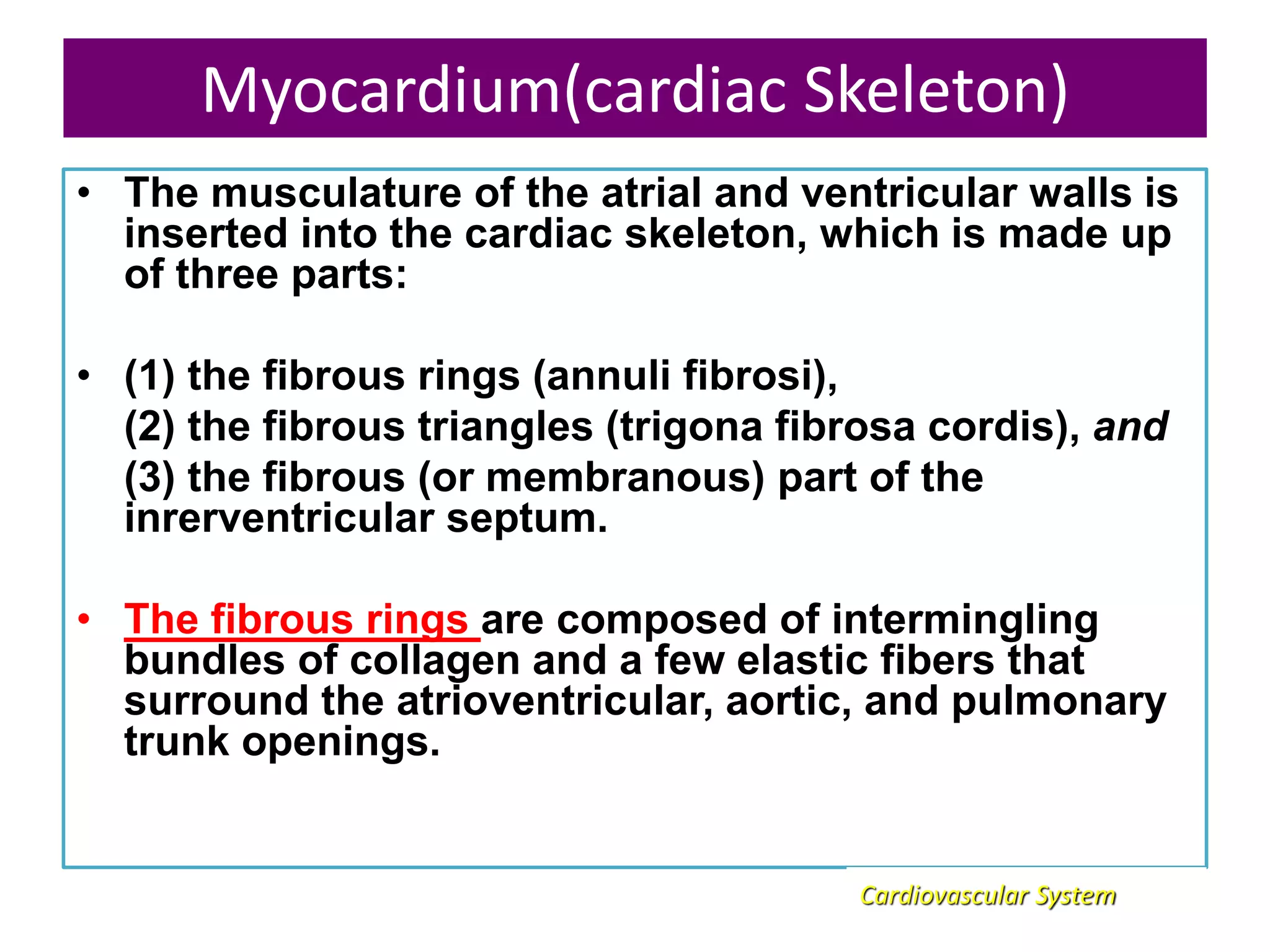 histology of cardiovascular system | PDF
