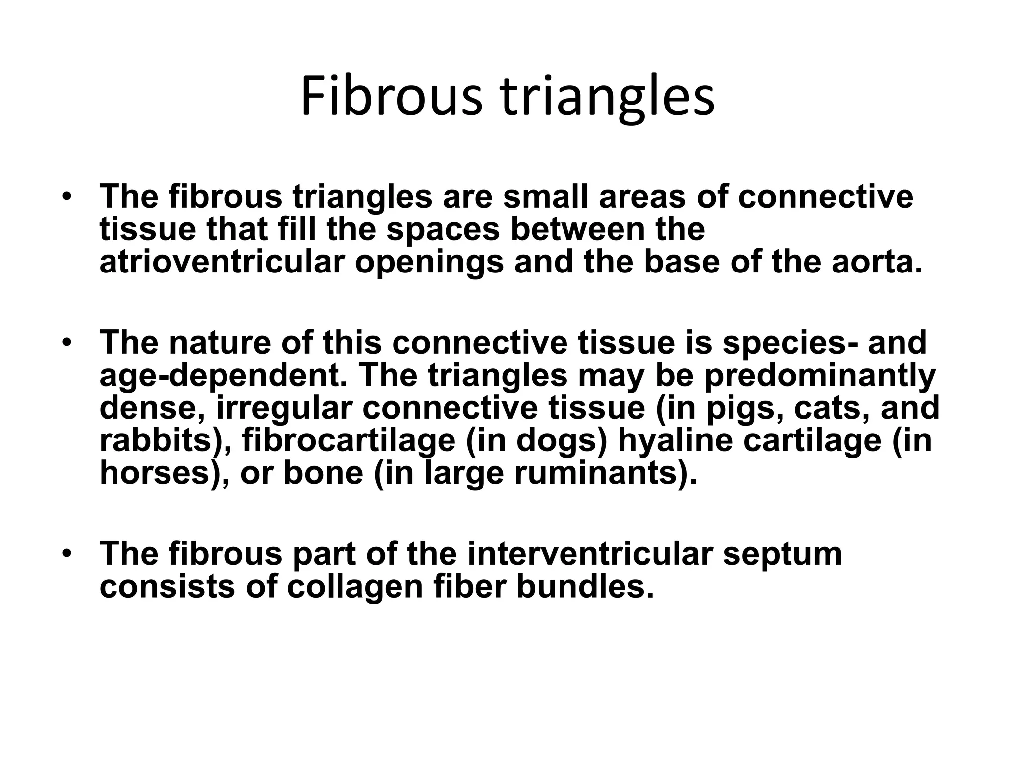 histology of cardiovascular system | PDF
