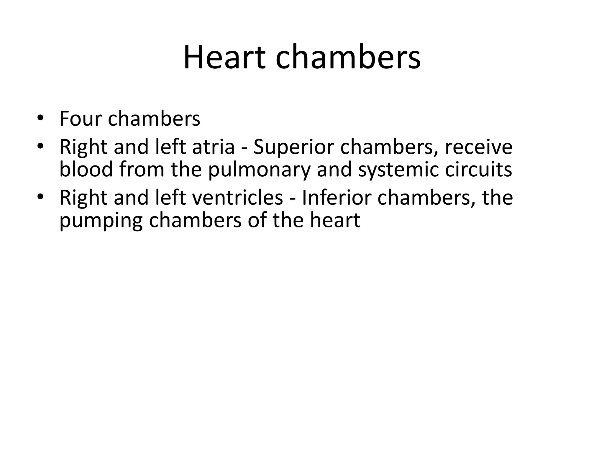 histology of cardiovascular system | PDF