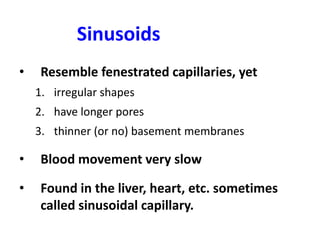 histology of cardiovascular system | PDF